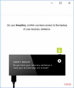 KeepKey Review 2021 - Read Before Buying...NOT What I expected